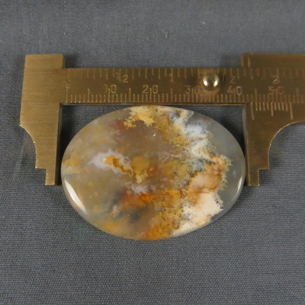 Regency Rose Plume Agate Cabochon